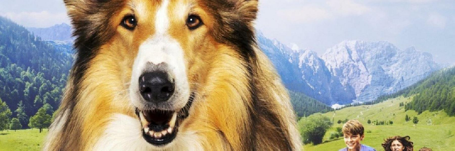 CineCity : Lassie - ein neues Abenteuer