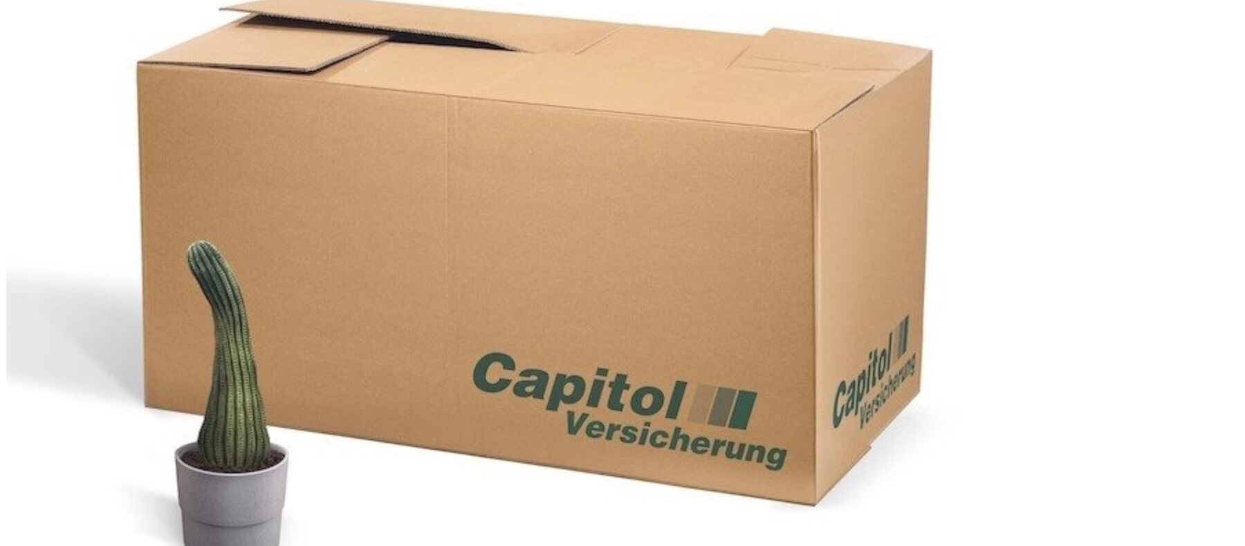 Cinecenter : Stromberg - Wieder alles wie immer